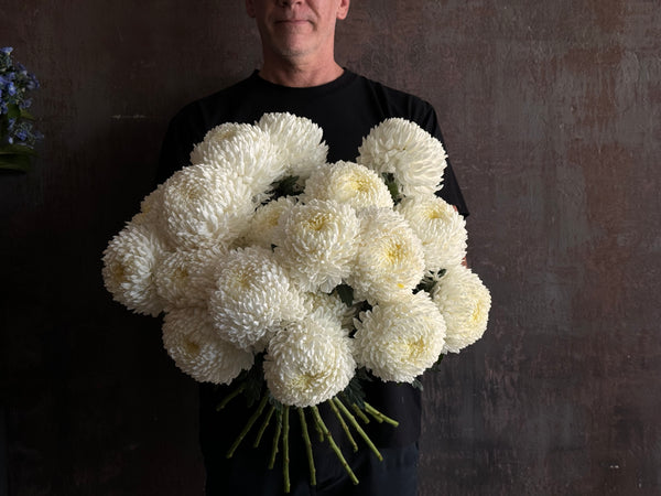 Mother's Day Mums | Buds and Bowers